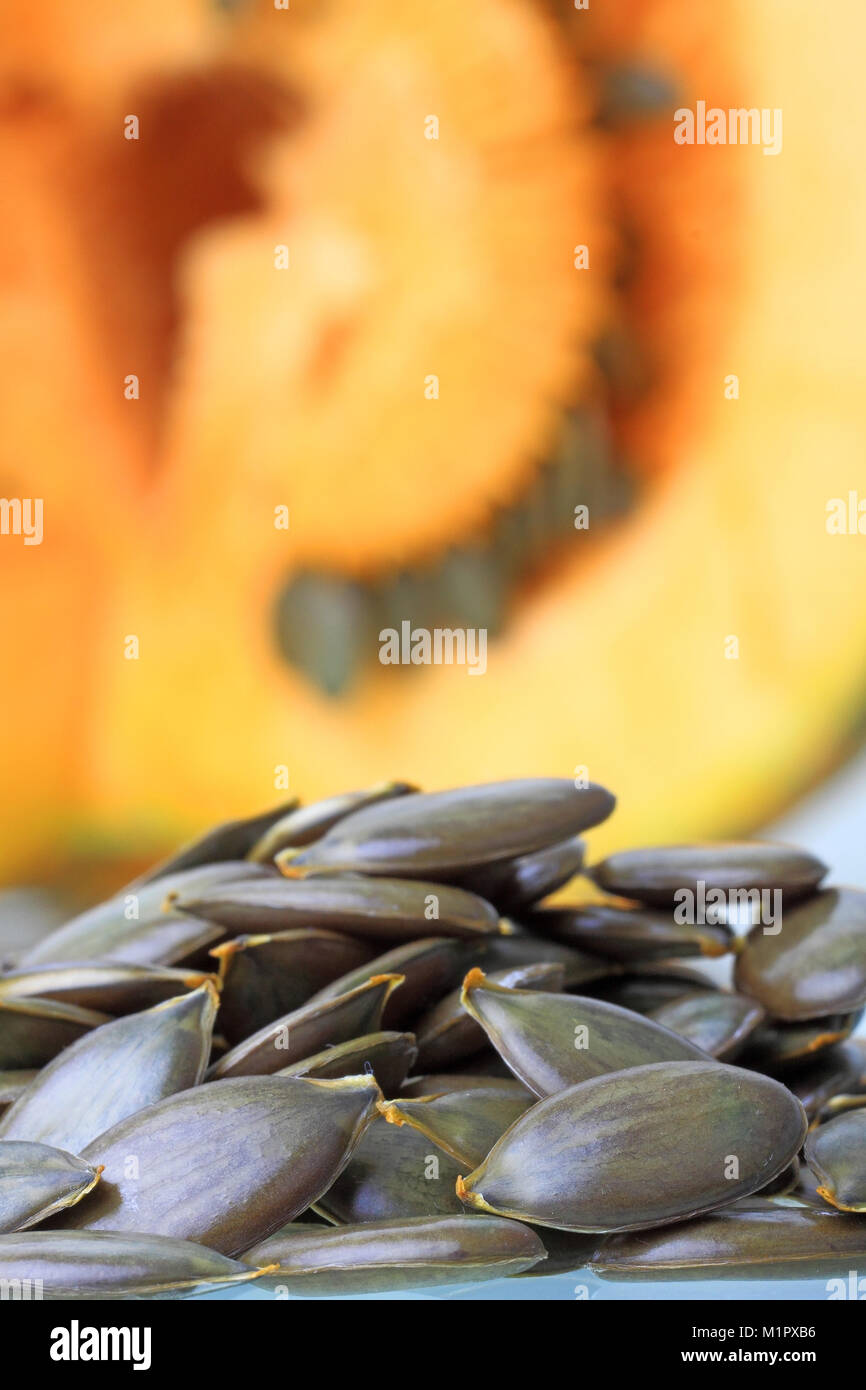 The Styrian oil pumpkin pumpkin variety dining one of the most valuable ...