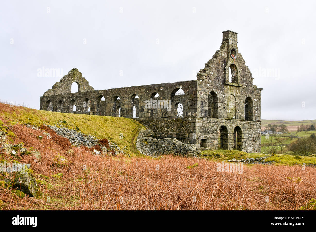 Pandy hi-res stock photography and images - Alamy