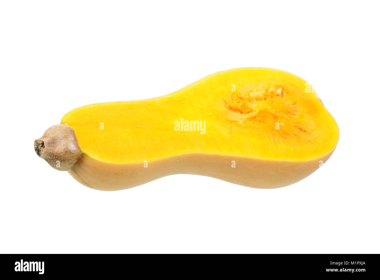 Cross sectional hi-res stock photography and images - Alamy