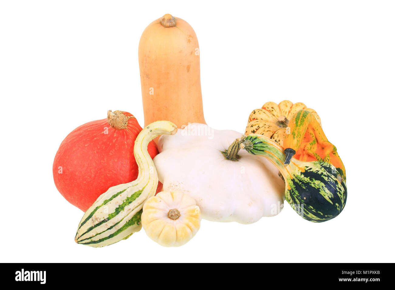 Baby boo squash Cut Out Stock Images & Pictures - Alamy