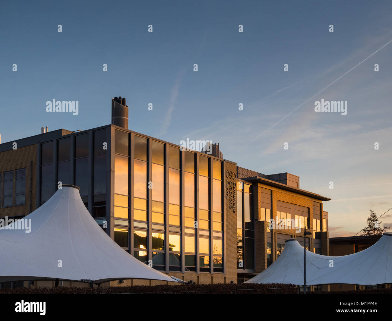 Cambridge Graphene Centre - Cambridge University research institute to ...