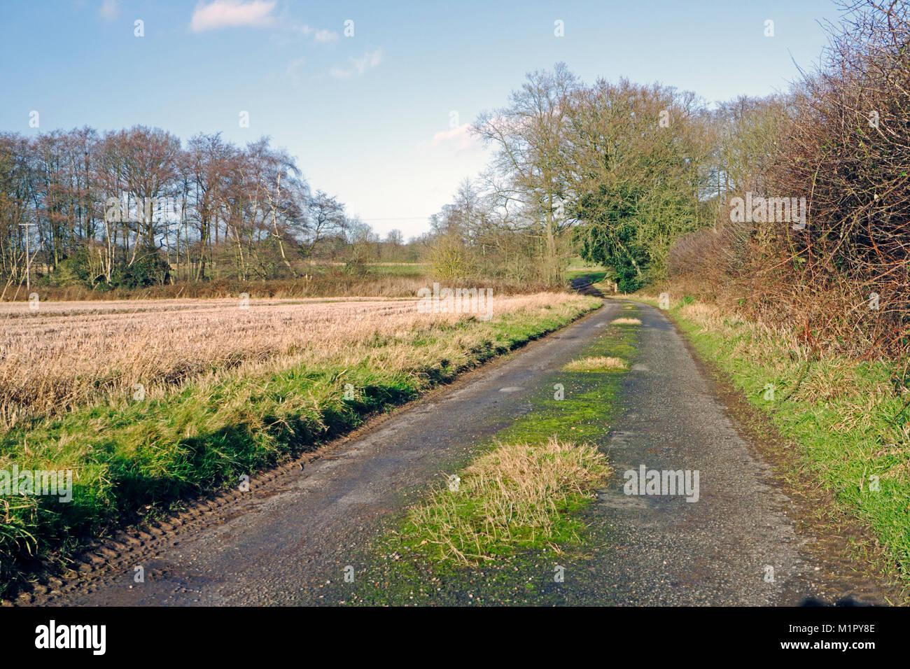 A minor road in the Norfolk countryside with grass growing down the ...
