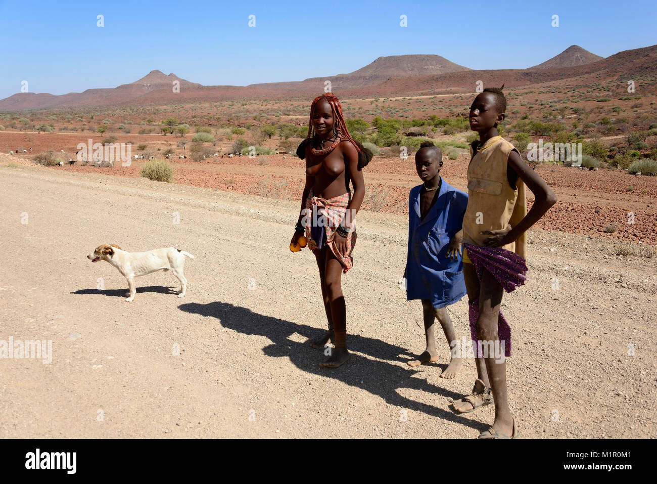 Namibian women hi-res stock photography and images - Alamy