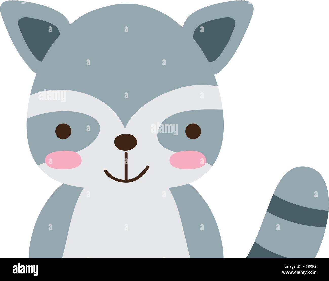 Happy raccoon hi-res stock photography and images - Alamy