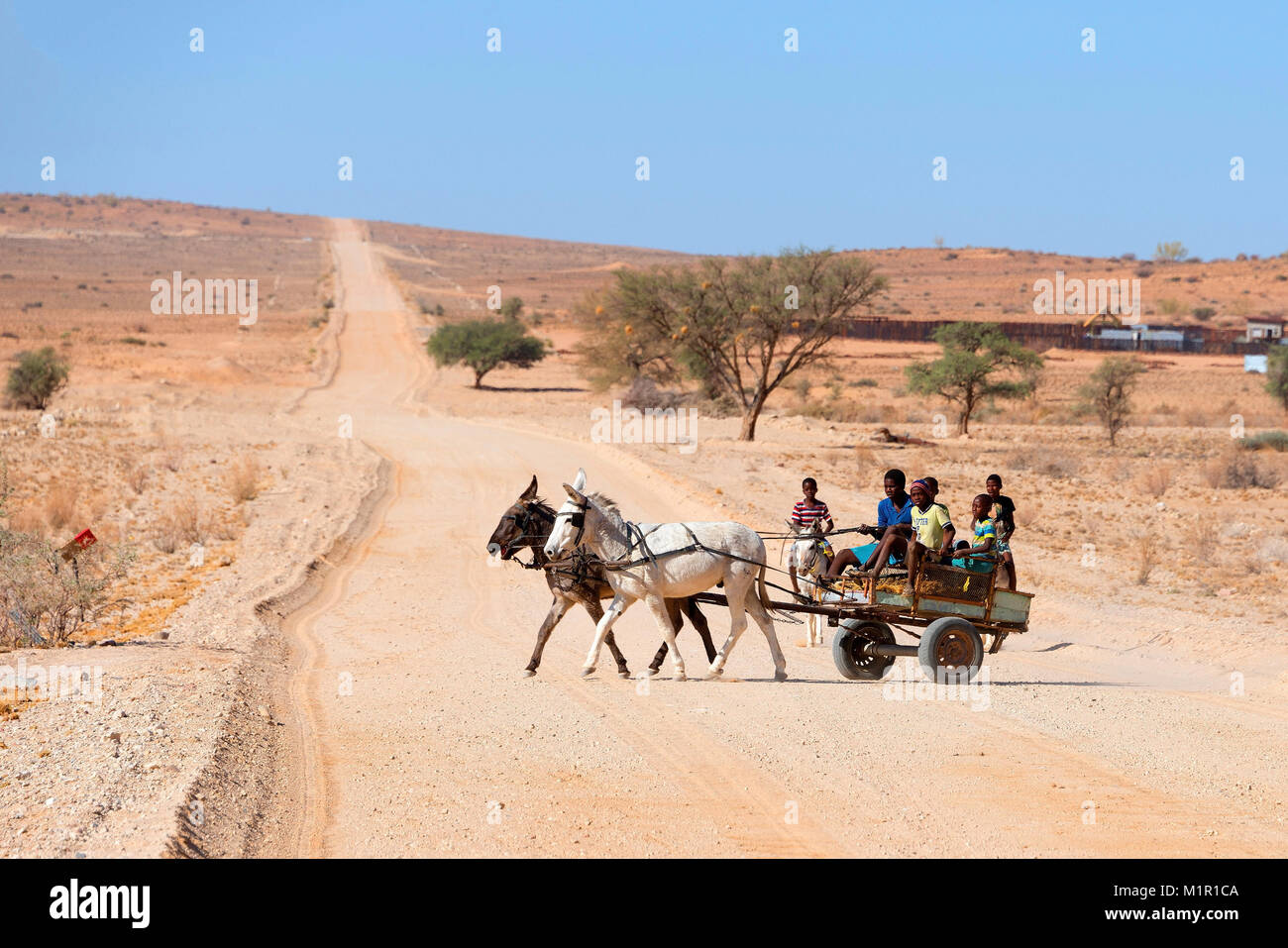 Donkey carriage hi-res stock photography and images - Alamy