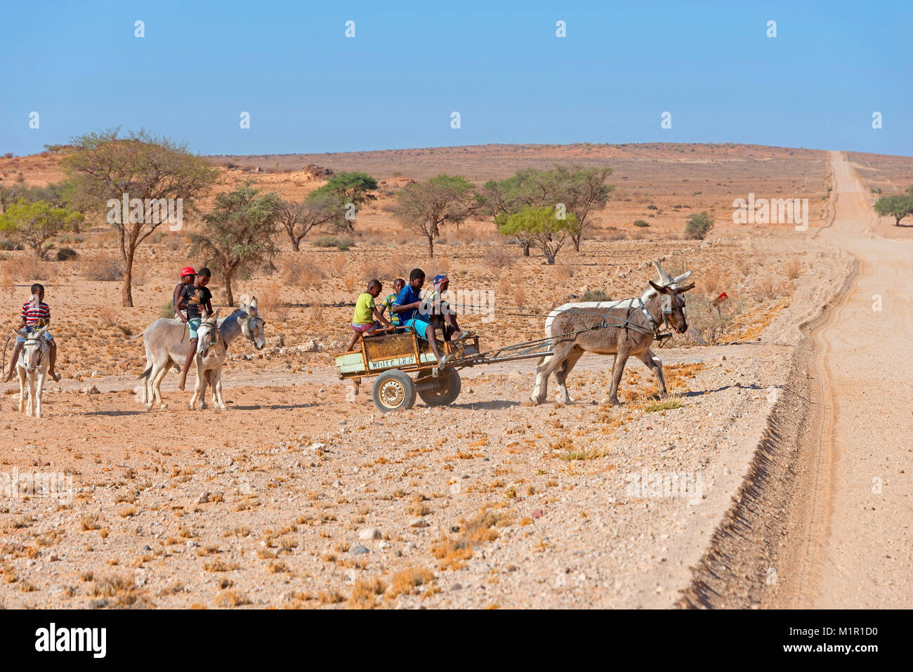 Donkey trailer and boys on donkeys, Brandberg, Namibia, Eselgespann und ...