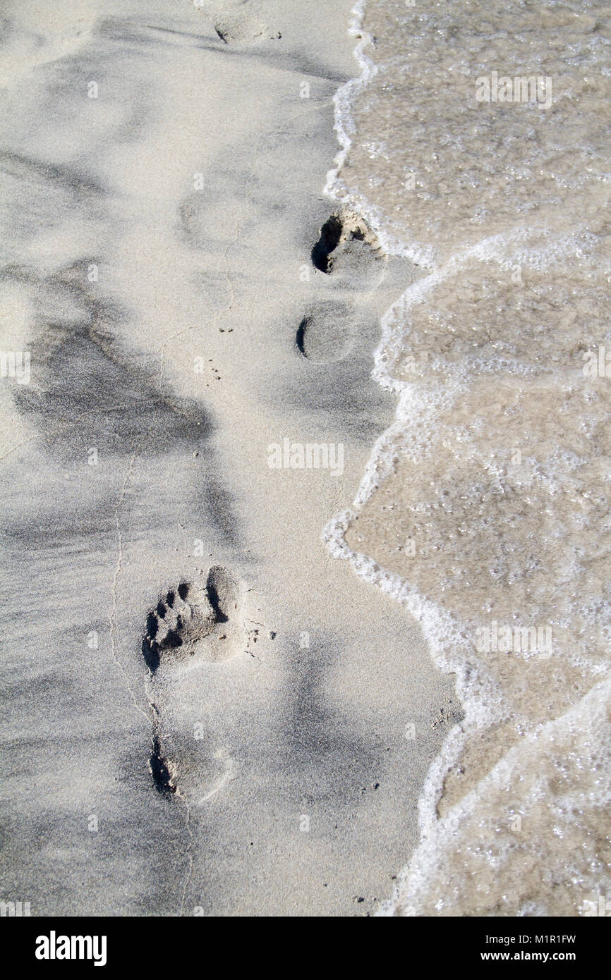 Footprint on the beach with waves Stock Photo - Alamy