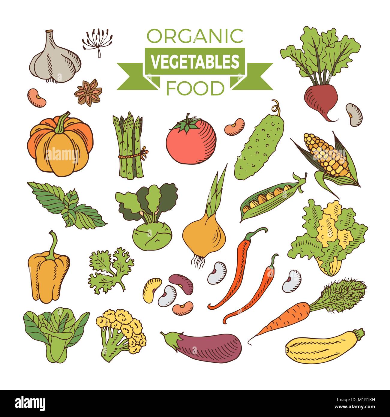 Garlic onions vegetables food Stock Vector Images - Alamy