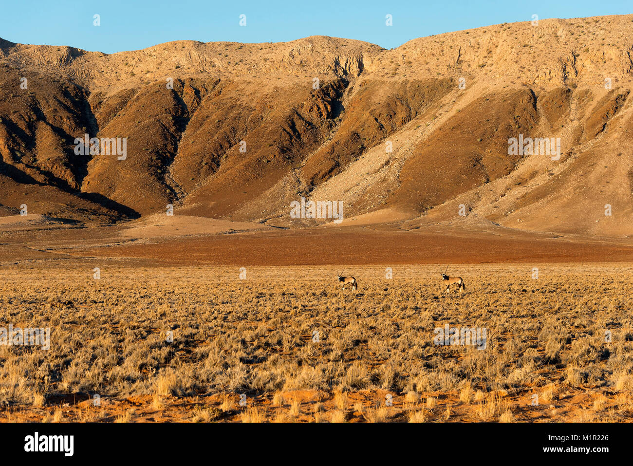 C14 road namibia hi-res stock photography and images - Alamy