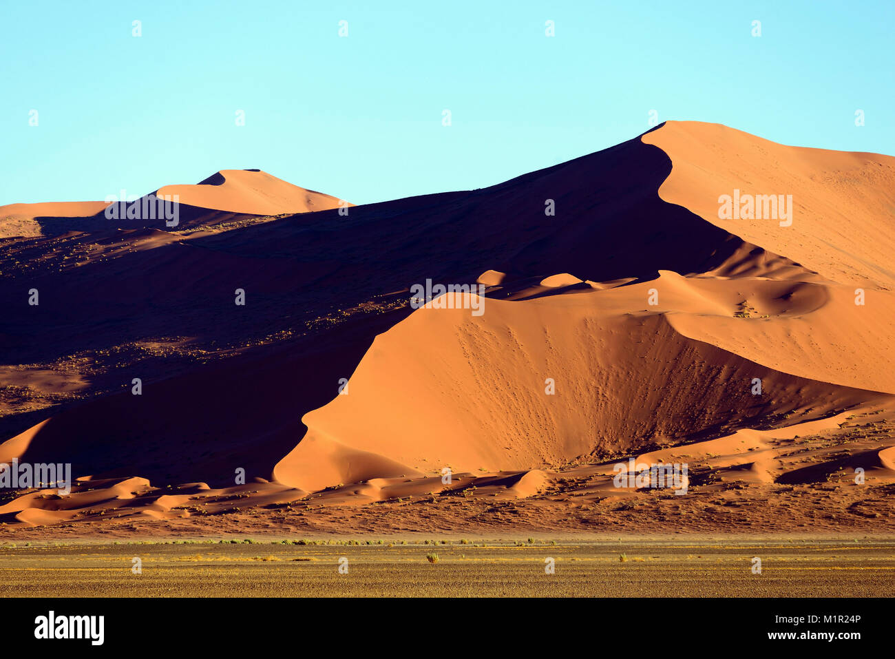 Sand dunes, Namib-Naukluft Park, Namib Desert, Namibia sand dunes of ...