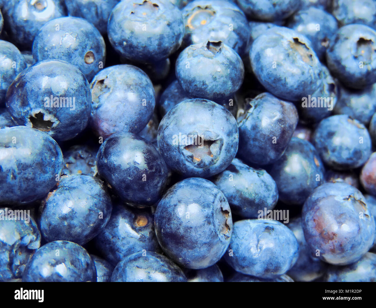 Fresh blueberry fruits or forest fruits, full frame shot.. Shiny, ripe ...