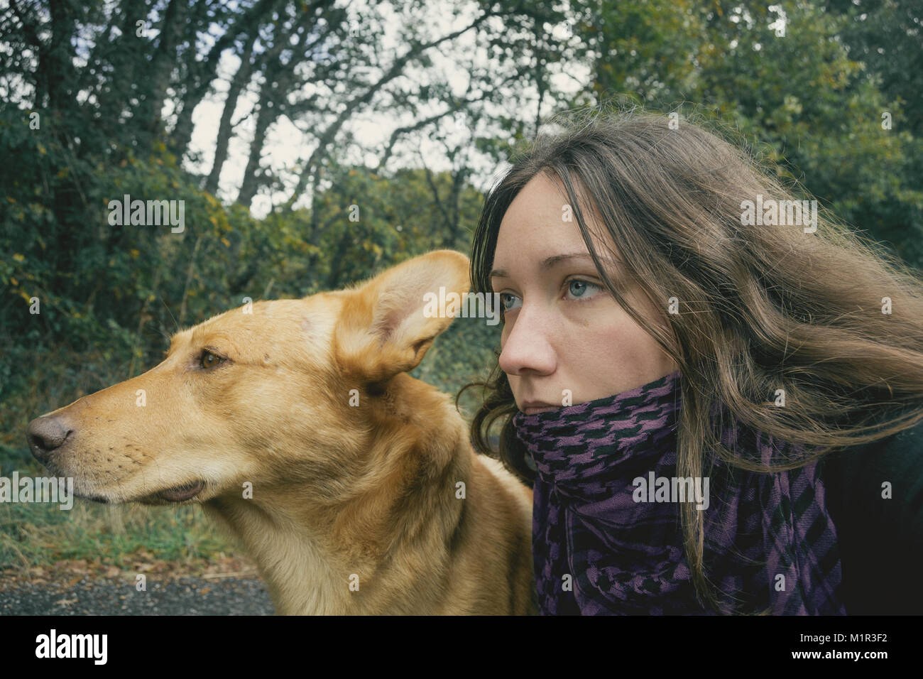 Perro de color marron claro junto a chica de ojos azules y cabello ...