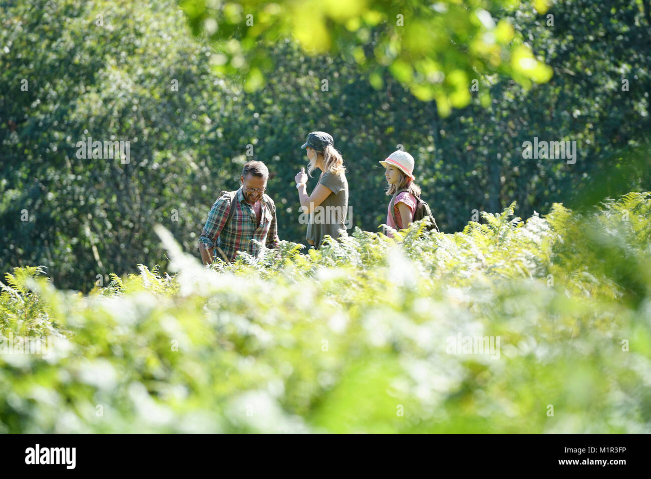 Family on a rambling day in countryside Stock Photo - Alamy