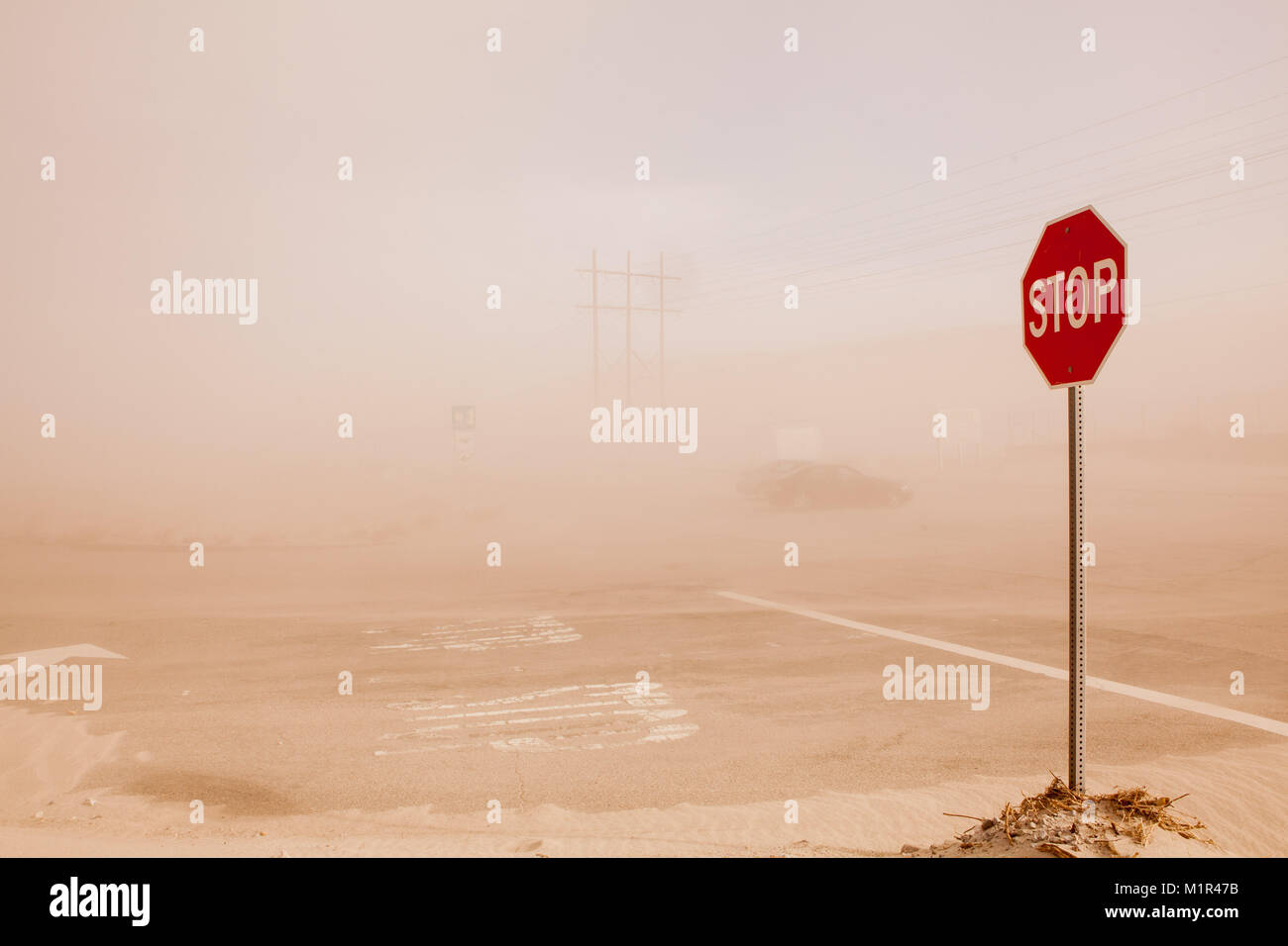 Stop sign in sand storm on USA road, cars in the background almost ...