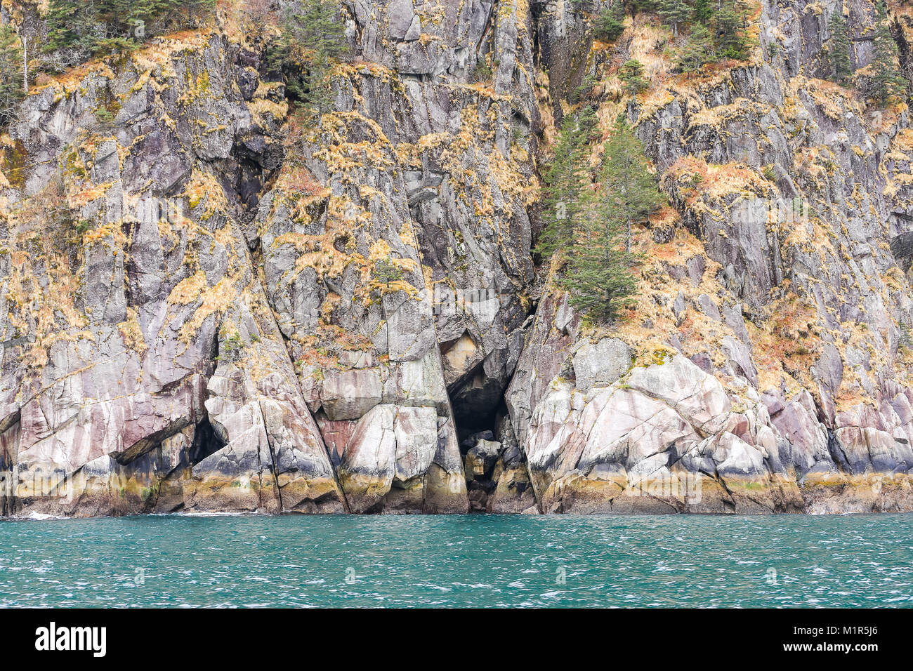 Part of the Shoreline in the Kenai Fjords National Park in Alaska Stock ...