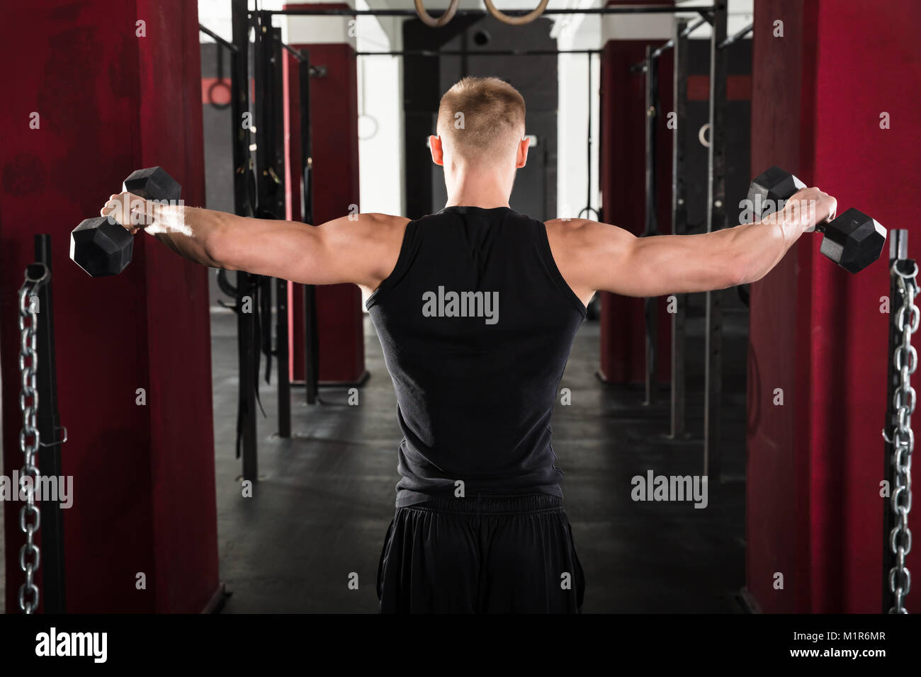 Rear View Of Young Man Getting Trained With Dumbbell In Gym Stock Photo ...