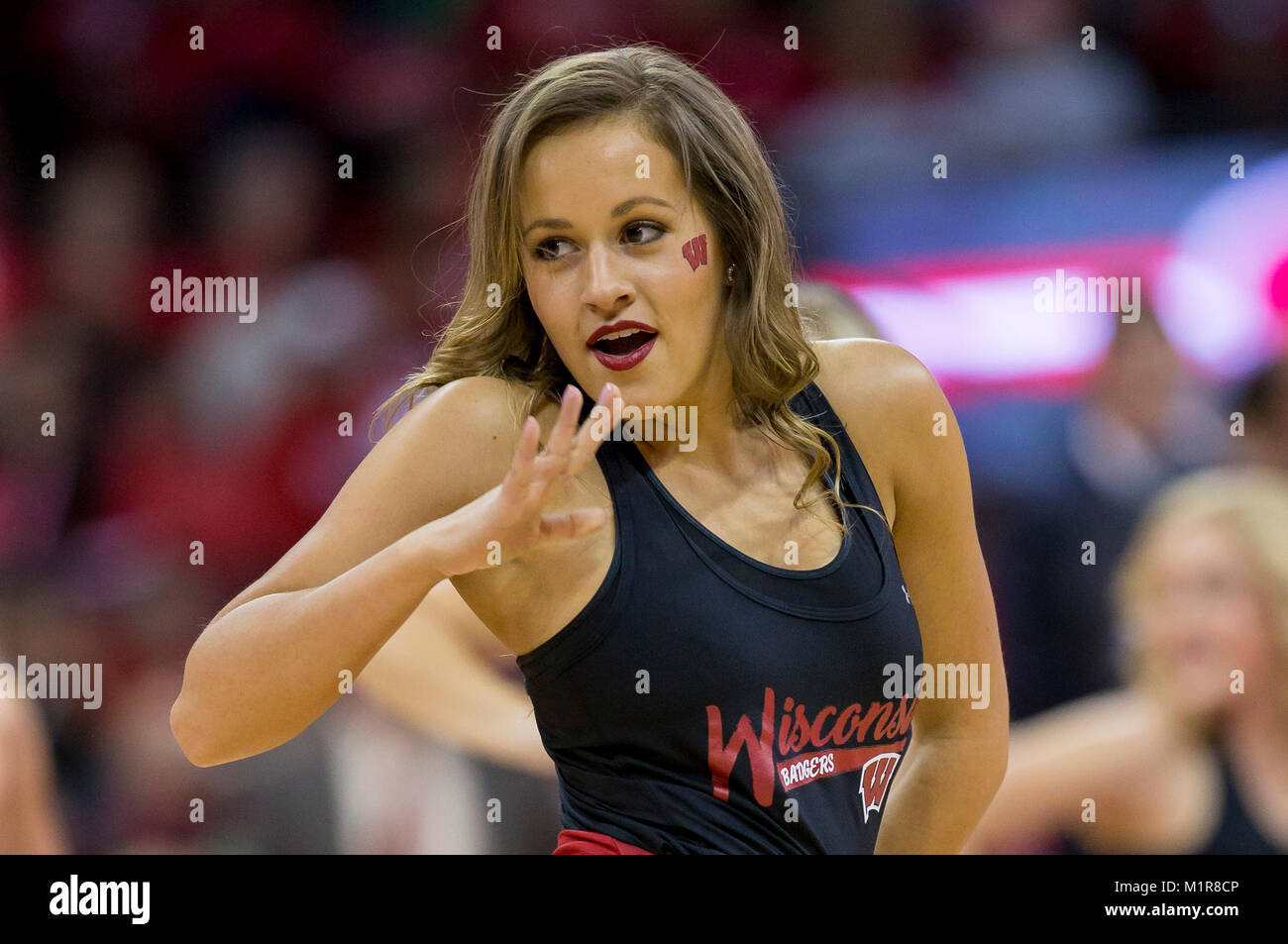 Team badger hi-res stock photography and images - Alamy