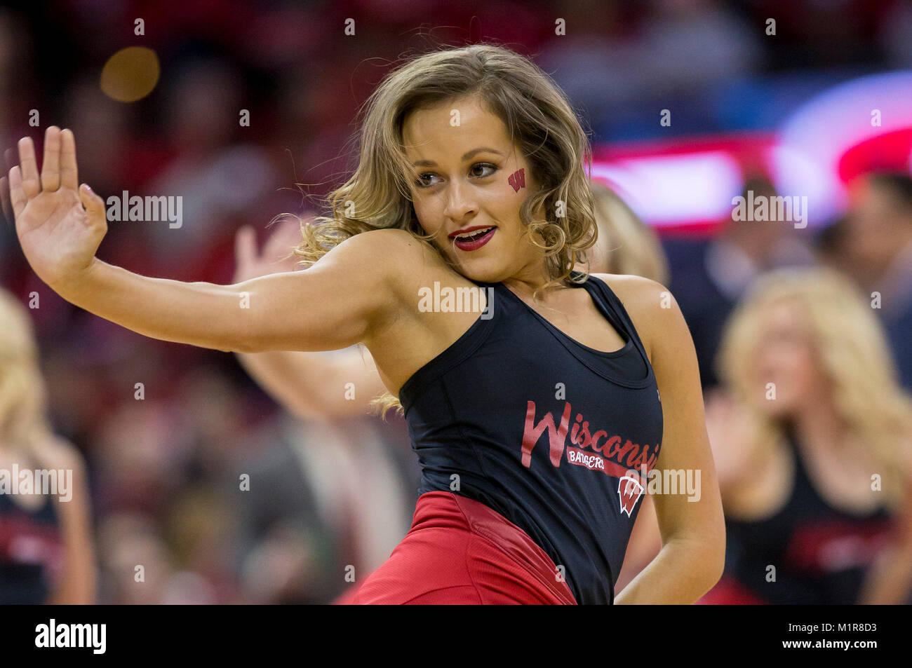 Team badger hi-res stock photography and images - Alamy