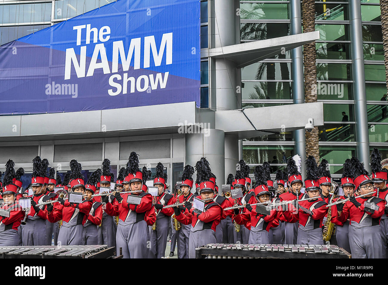 Anaheim, CA, USA. 25th Jan, 2018. NAMM Opening Day with the Savanna ...