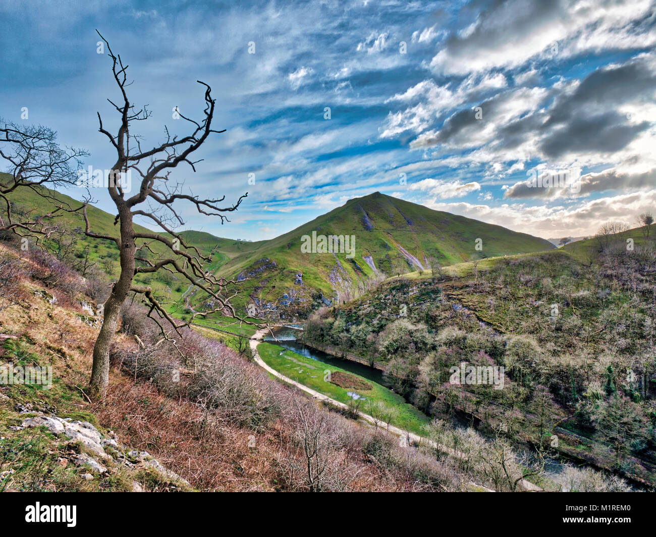 Julia bradbury dove hi-res stock photography and images - Alamy