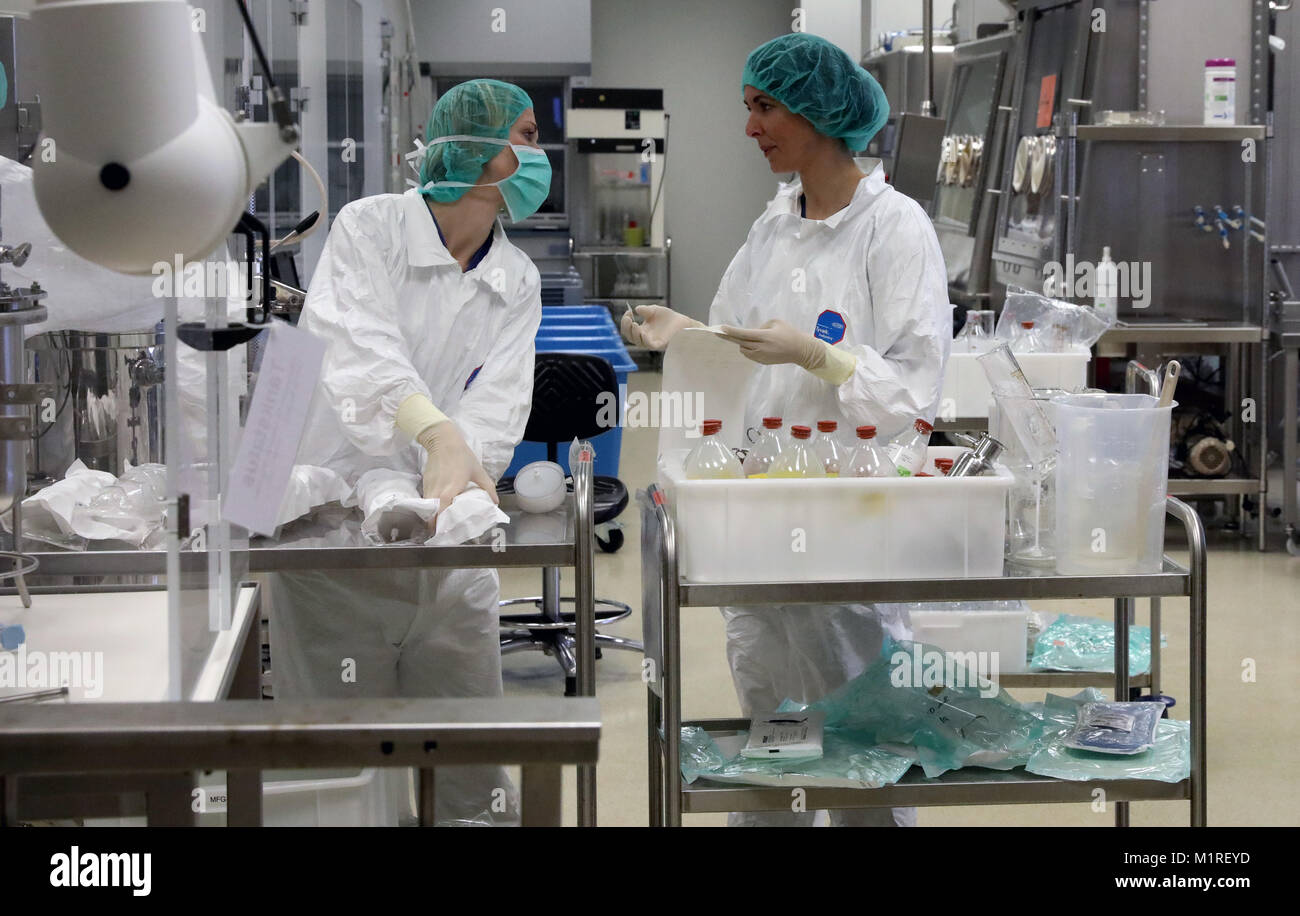 Teterow, Germany. 1st Feb, 2018. Lab workers produce absorbers for ...