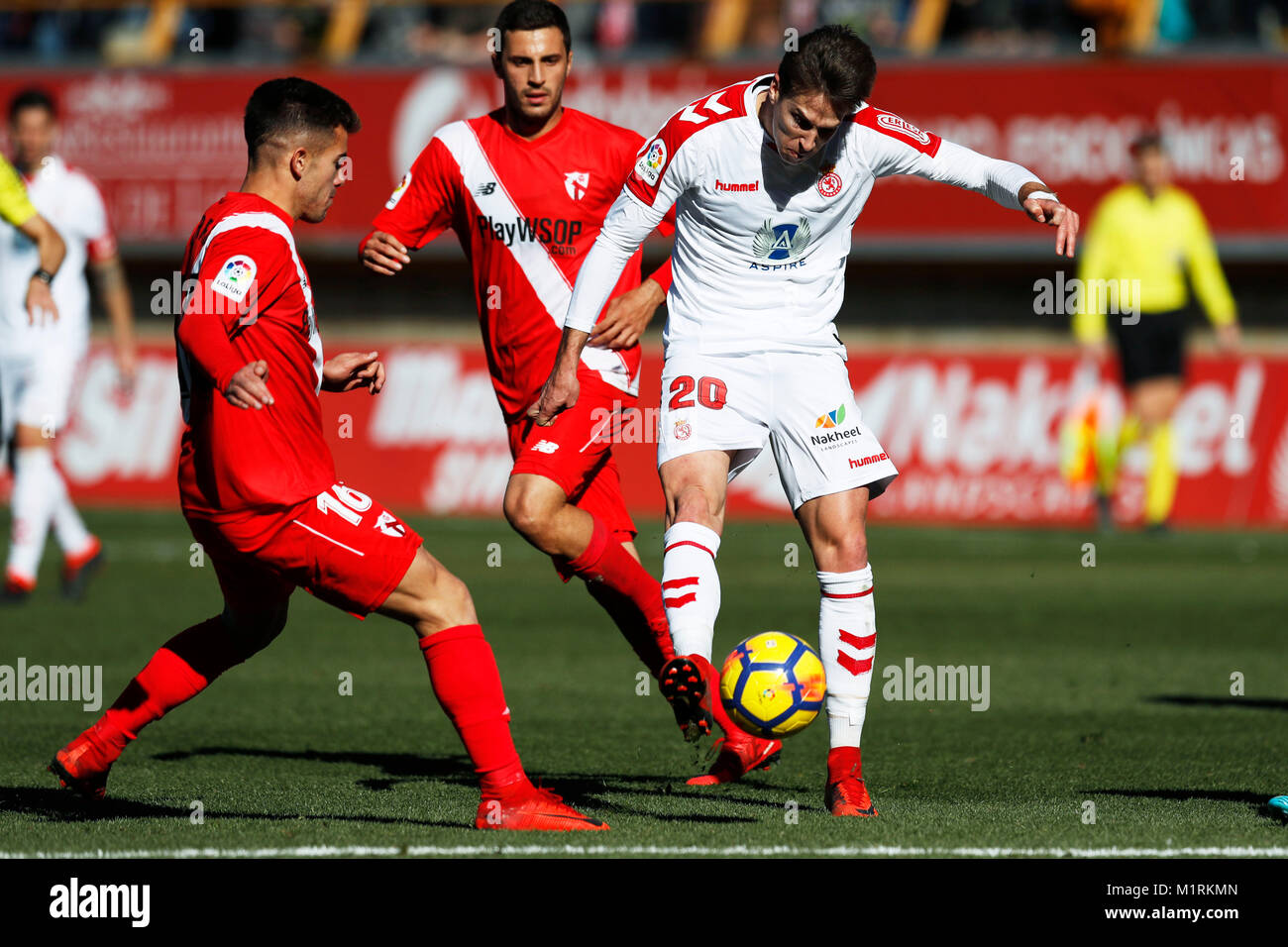 La leonesa hi-res stock photography and images - Alamy