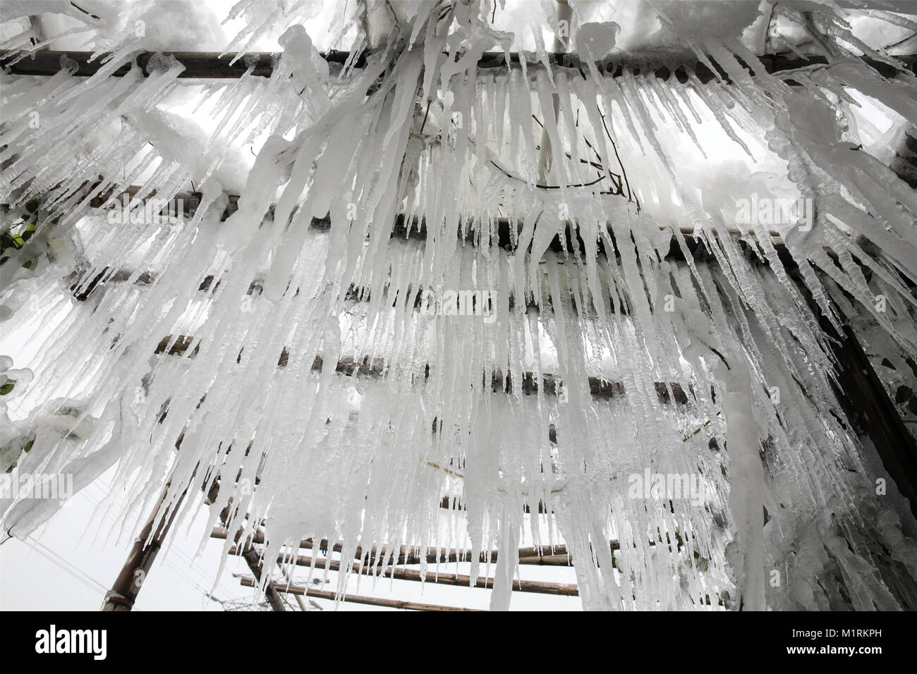 Wuxi, Wuxi, China. 1st Feb, 2018. Wuxi, CHINA-1st February 2018: Chen ...