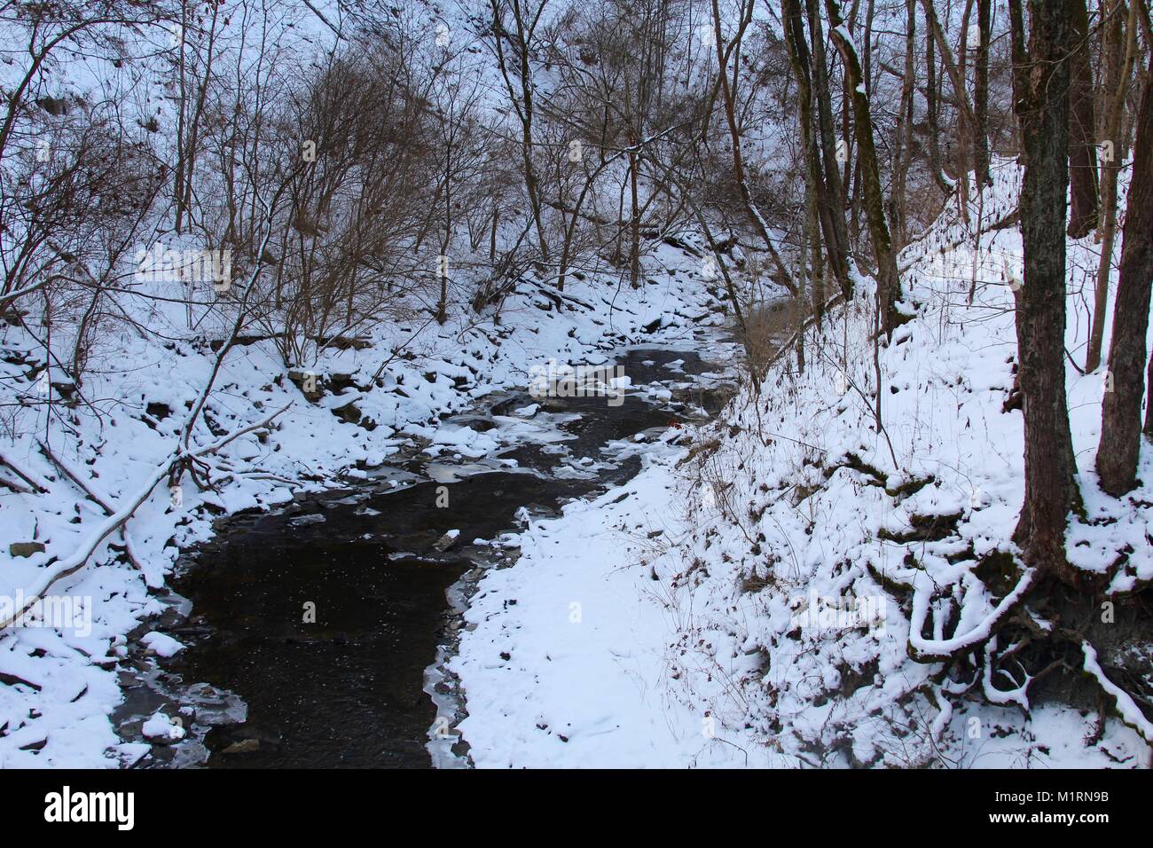 Hiking on the trails in the snowy forest in the month of January Stock ...