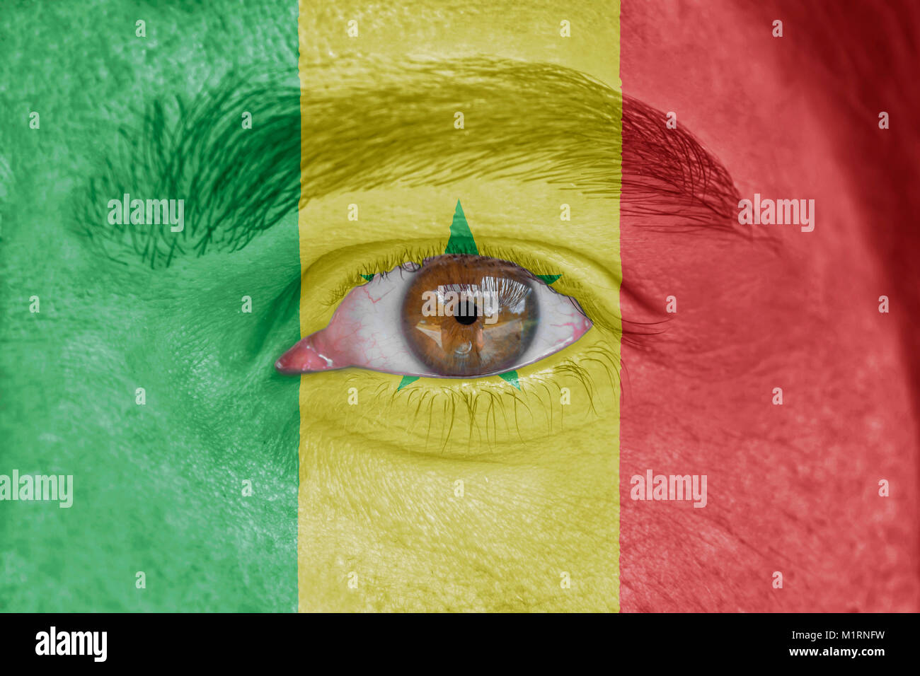 Senegalian flag hi-res stock photography and images - Alamy