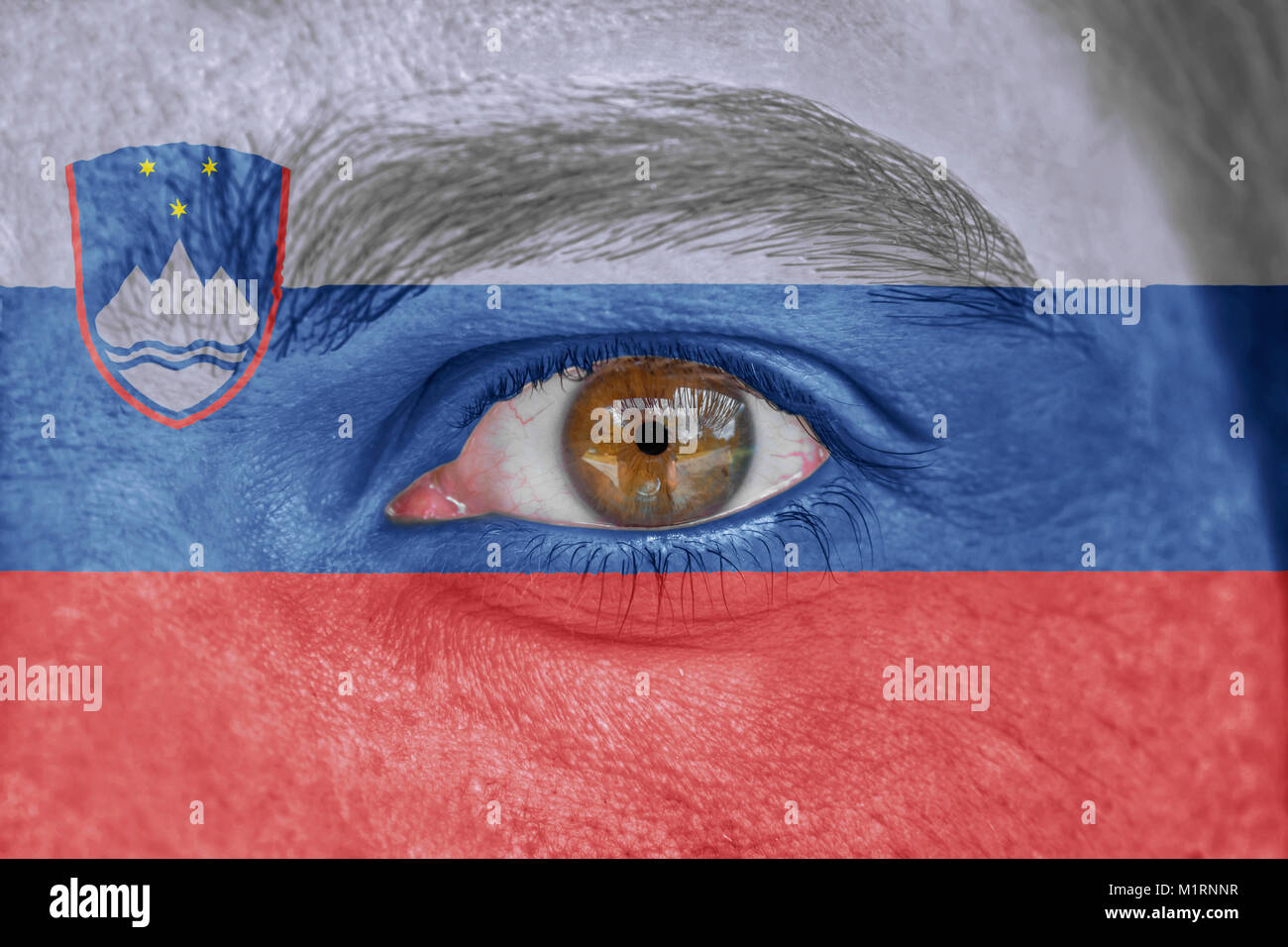 Slovenian national symbol patriotic hi-res stock photography and images ...