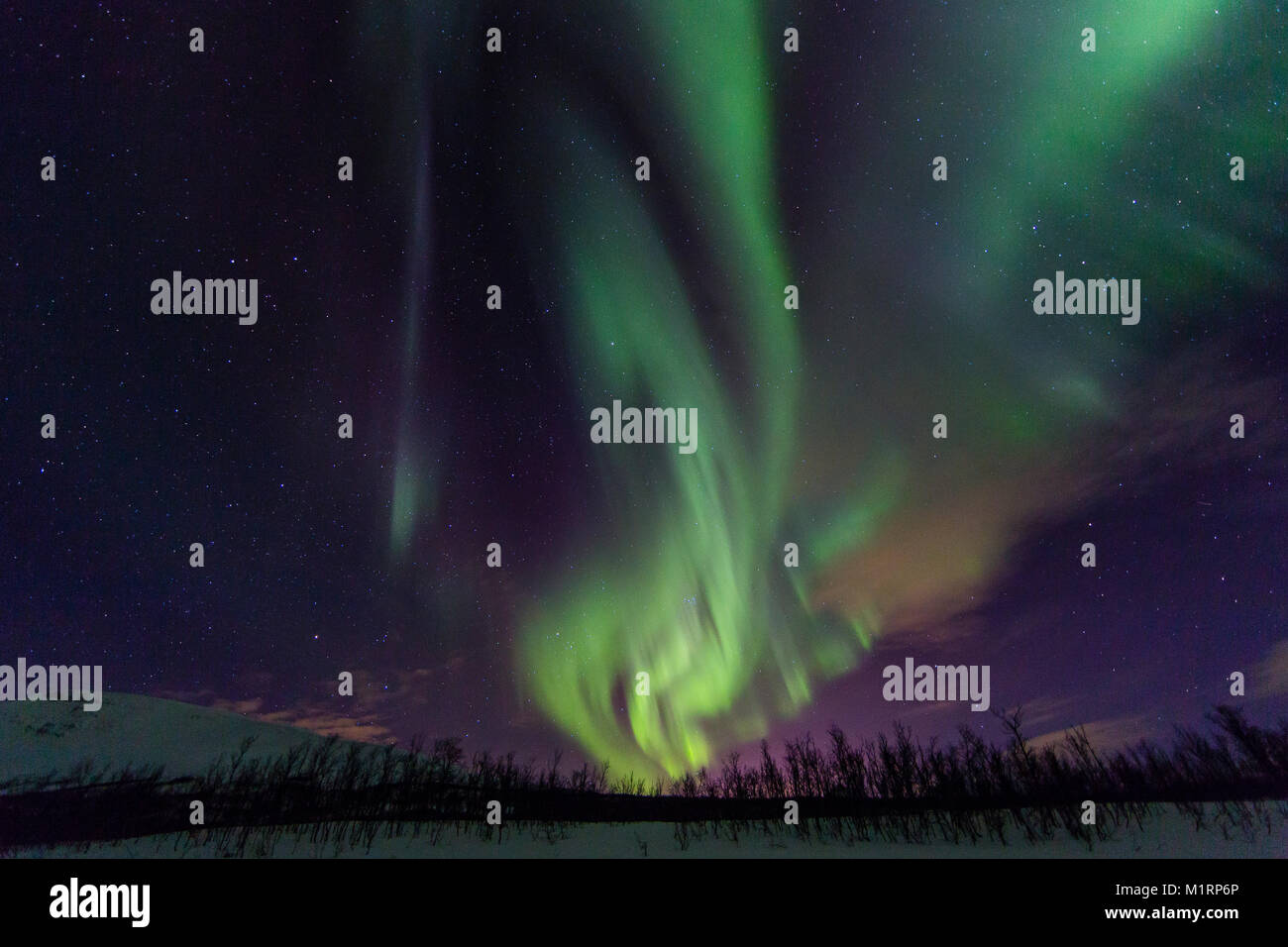 Tromso, Norway. Northern lights display Stock Photo - Alamy