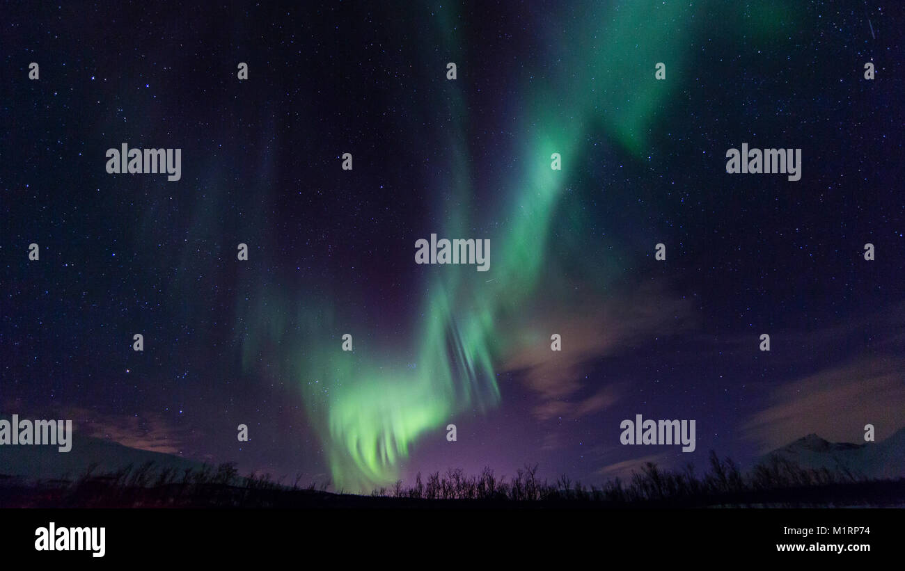 Northern lights forest hi-res stock photography and images - Alamy