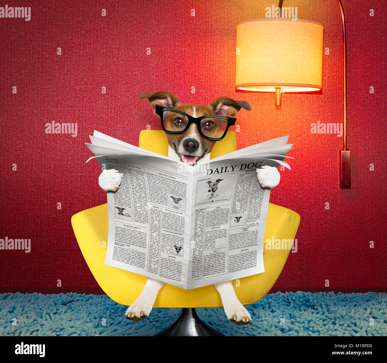 Dog reading newspaper hi-res stock photography and images - Alamy