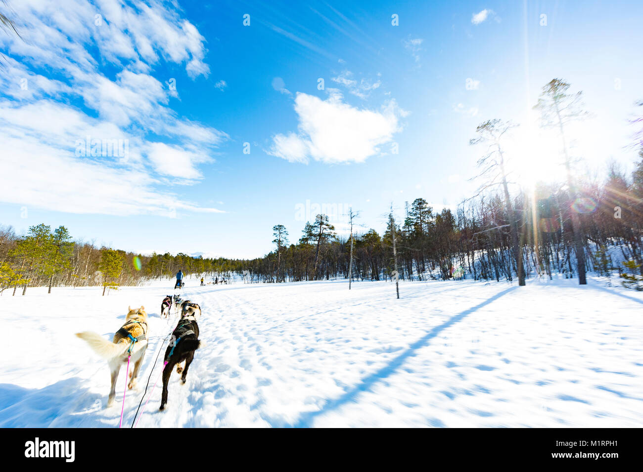 First person view feet in hi-res stock photography and images - Alamy