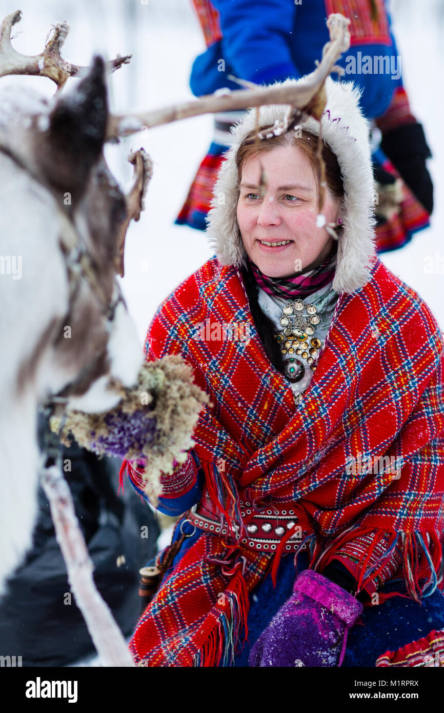 Sami woman reindeer hi-res stock photography and images - Alamy