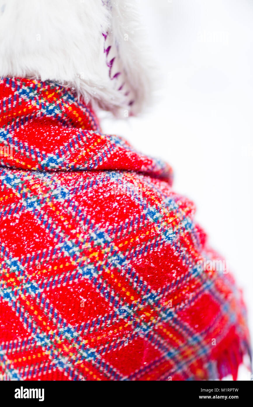 Norway sami people hi-res stock photography and images - Alamy