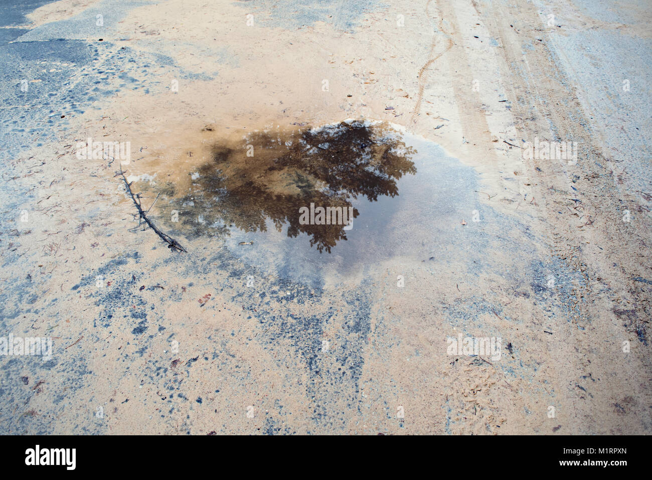 Trough puddle of water hi-res stock photography and images - Alamy