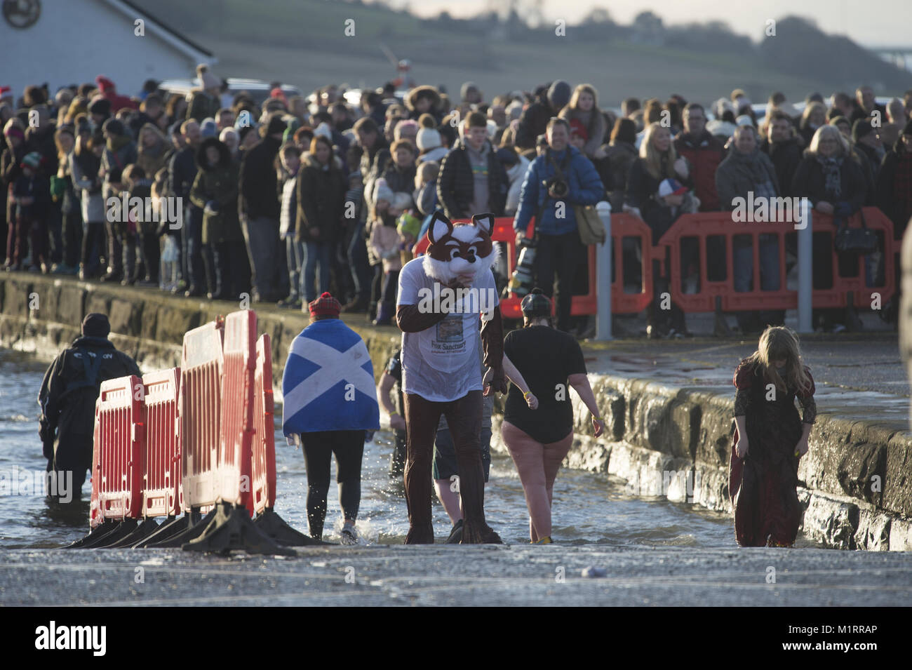 The annual YaMBA New Years Dook Featuring: Dookers Where: Broughty ...