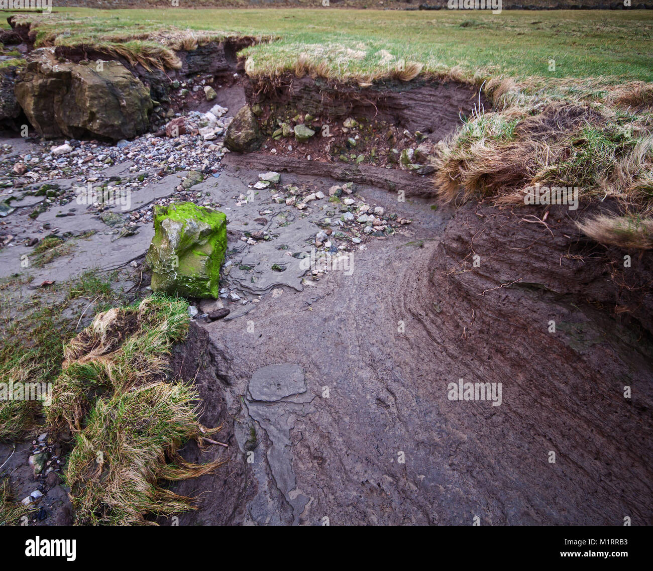 The dark river bank. strong patterns in this micro landscape on the ...