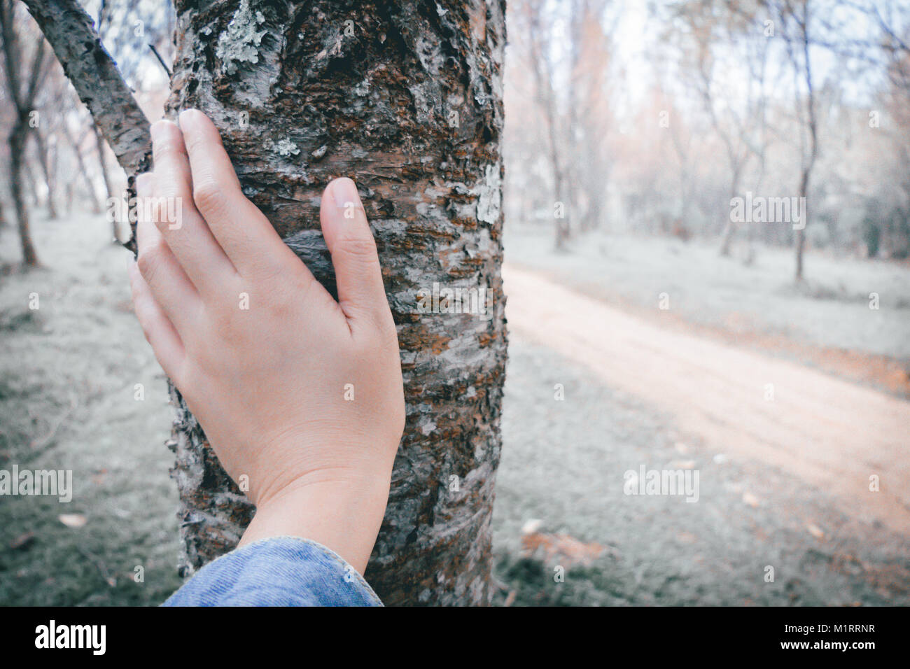 woman hand touching tree trunk, hipster tone Stock Photo - Alamy