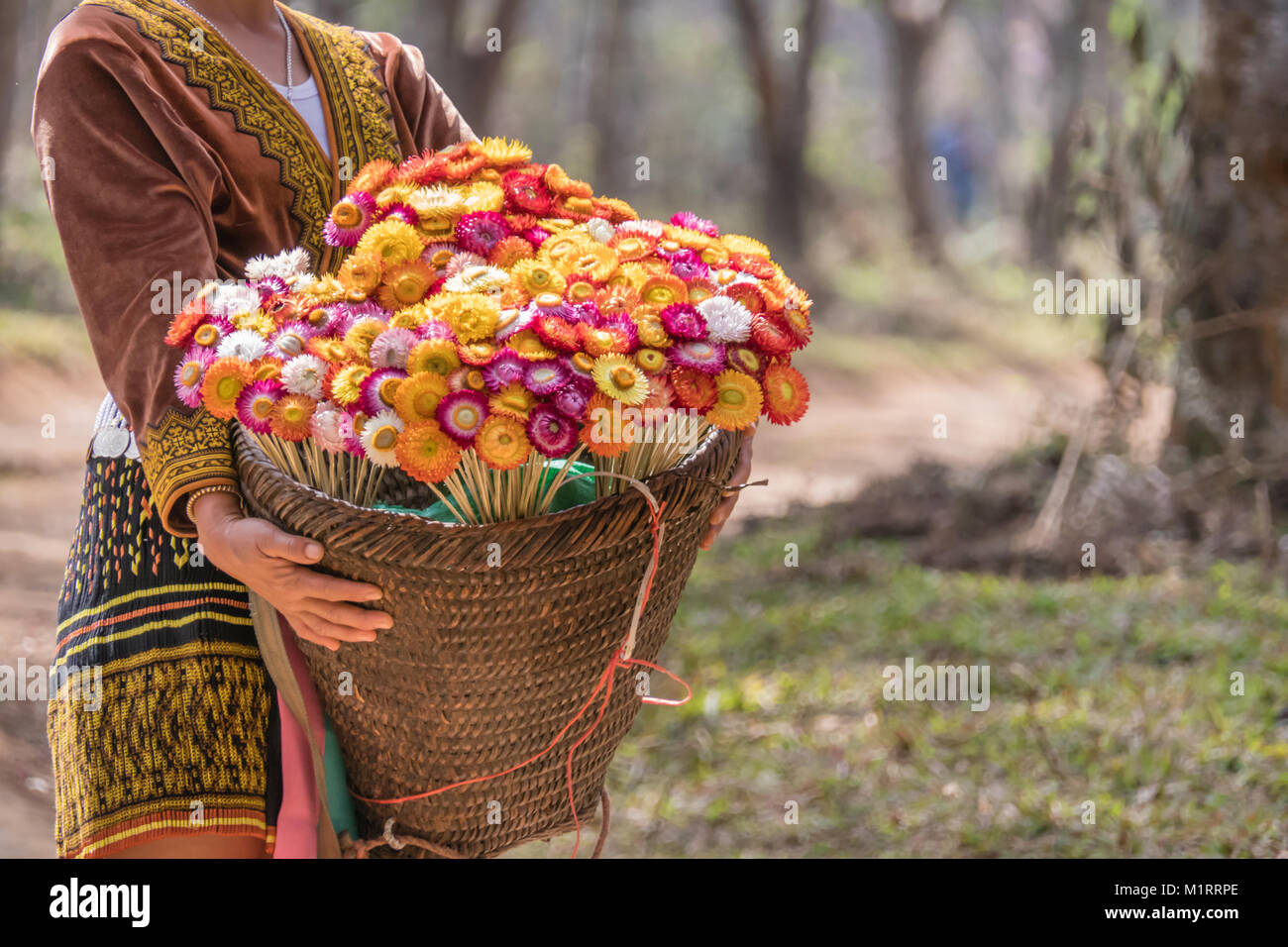 Beautiful woman bamboo plant hi-res stock photography and images - Alamy