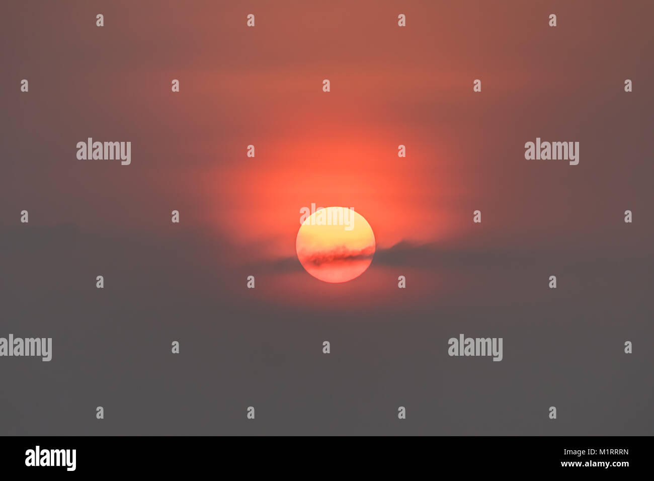 Big sun and Misty Sunrise in the Morning Stock Photo - Alamy