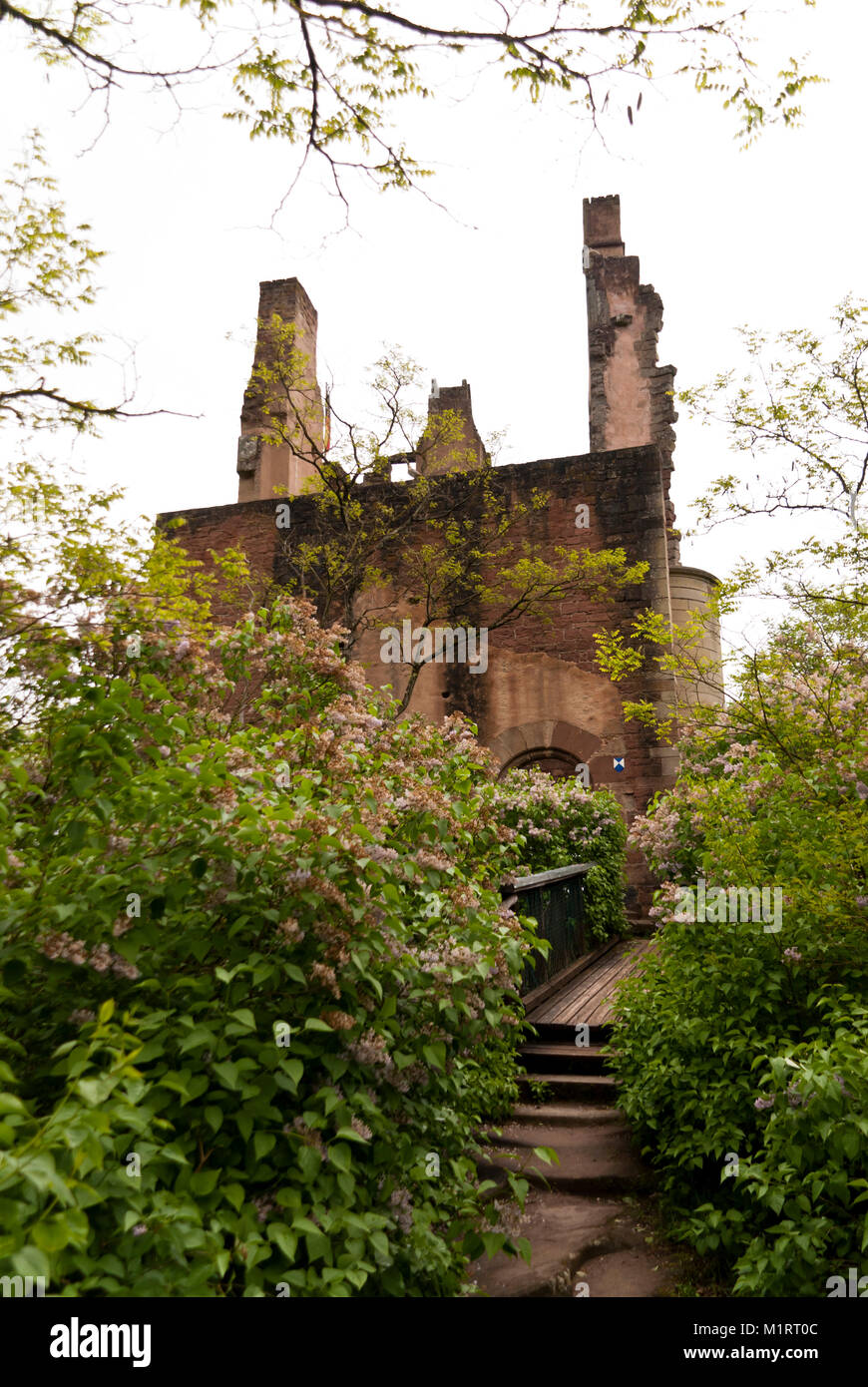 Medieval Ruin of Castle Ramstein in the Eifel, Germany Stock Photo - Alamy
