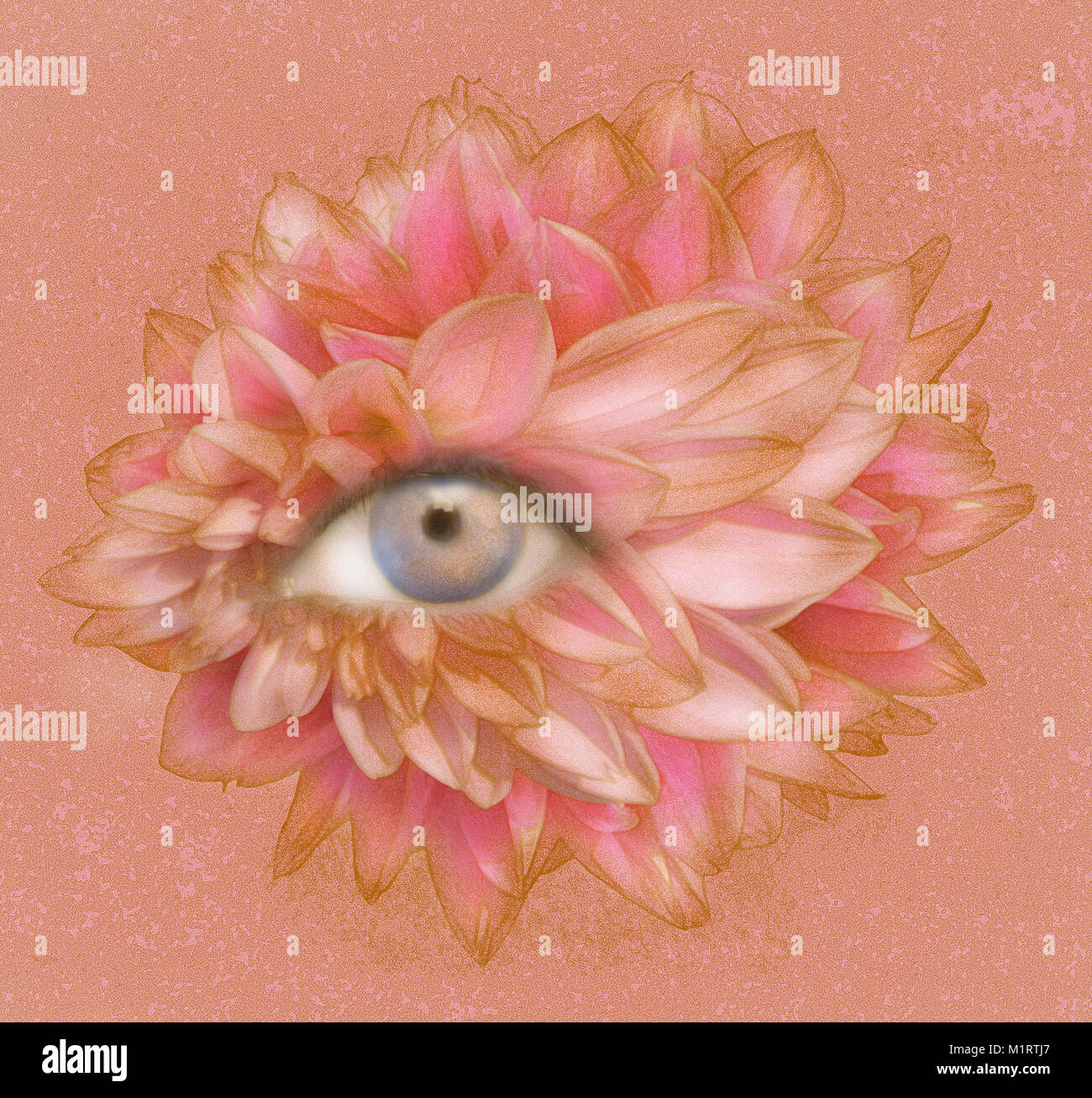 Illustrative image of a human eye with many petals and textures Stock ...