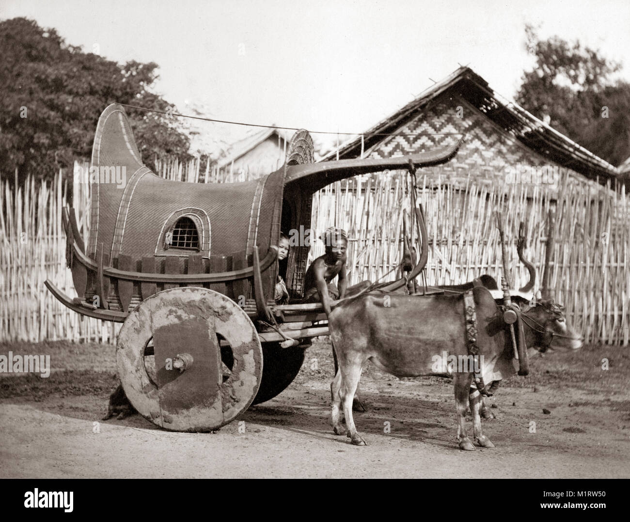c.1880 India or Burma - bullock cart and driver Stock Photo - Alamy
