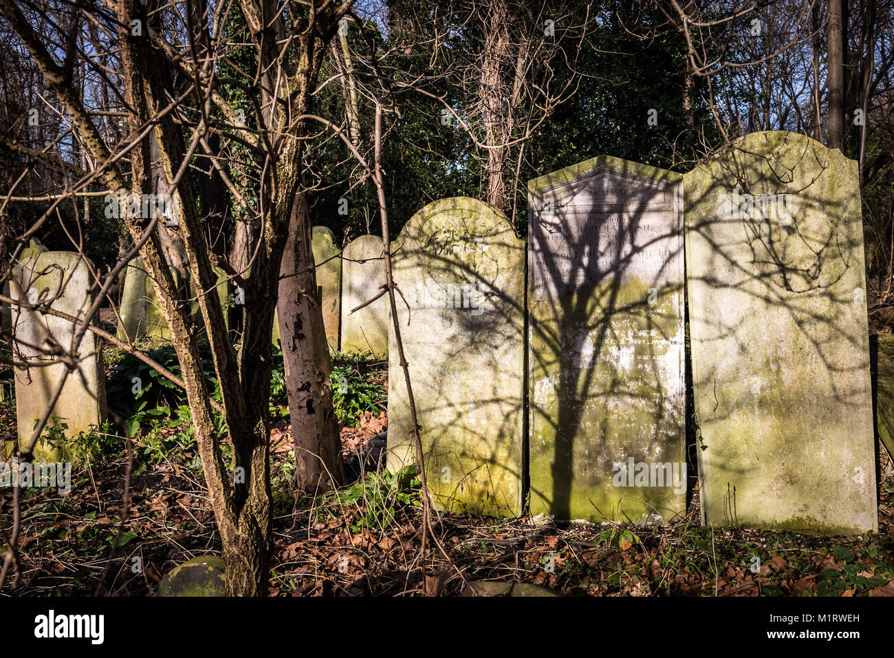 Tower Hamlets Cemetery Park High Resolution Stock Photography and ...
