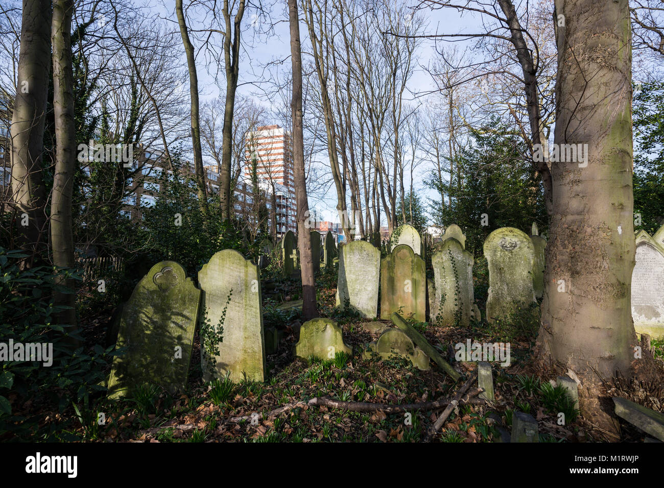 Tower hamlets cemetery park hi-res stock photography and images - Alamy
