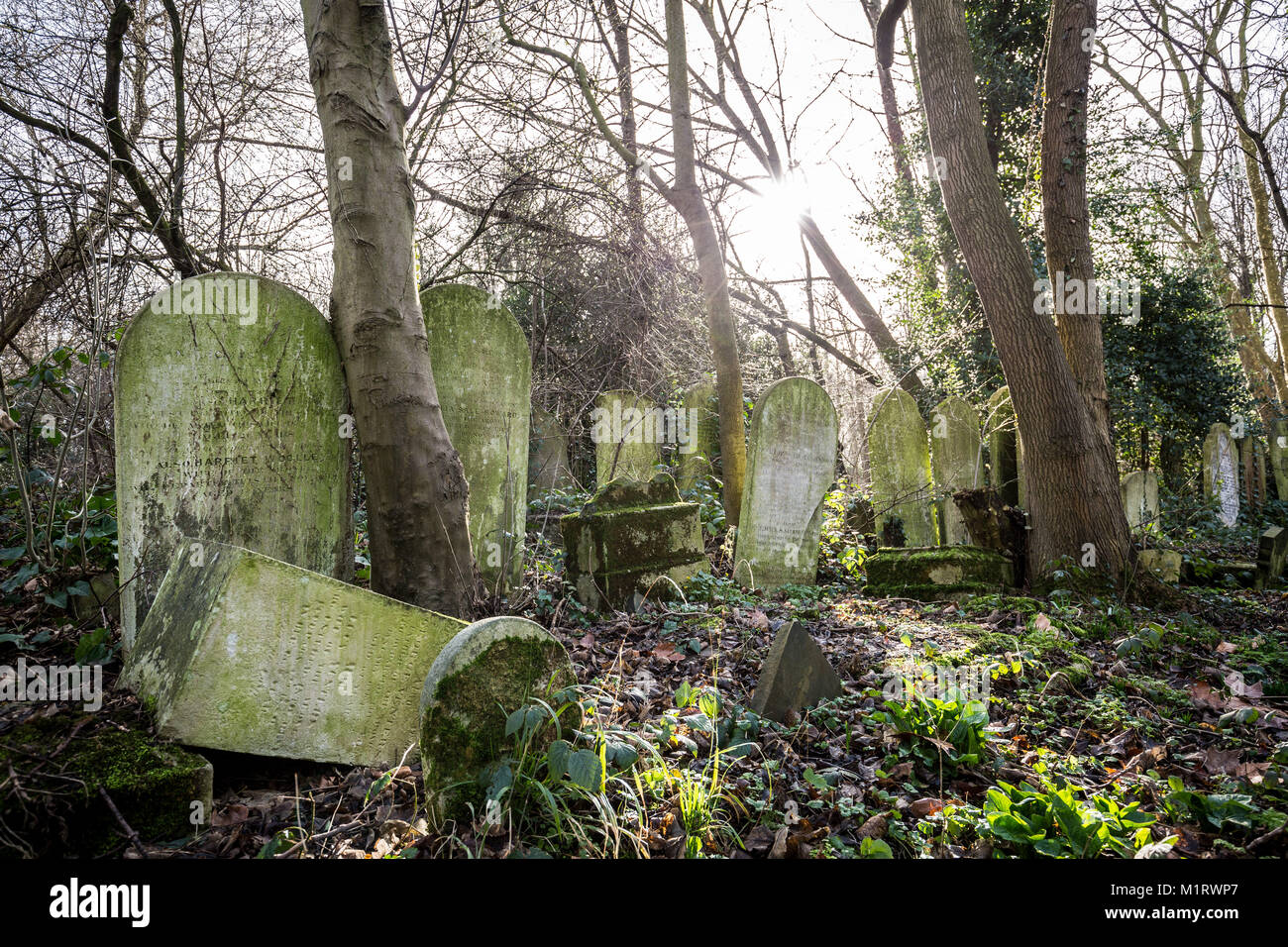 Tower Hamlets Cemetery Park High Resolution Stock Photography and ...