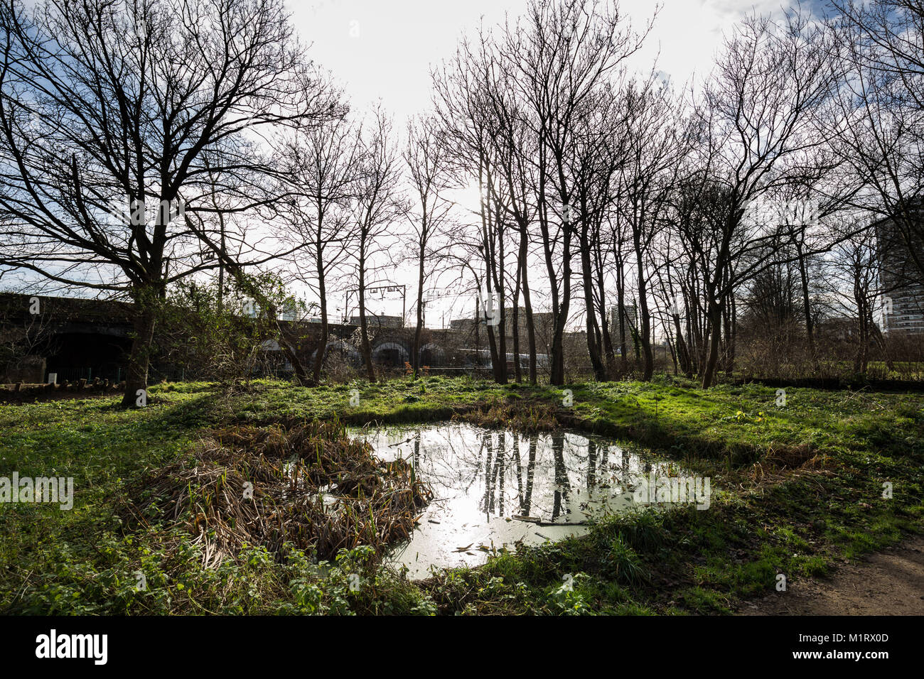 Tower hamlets cemetery park hi-res stock photography and images - Alamy