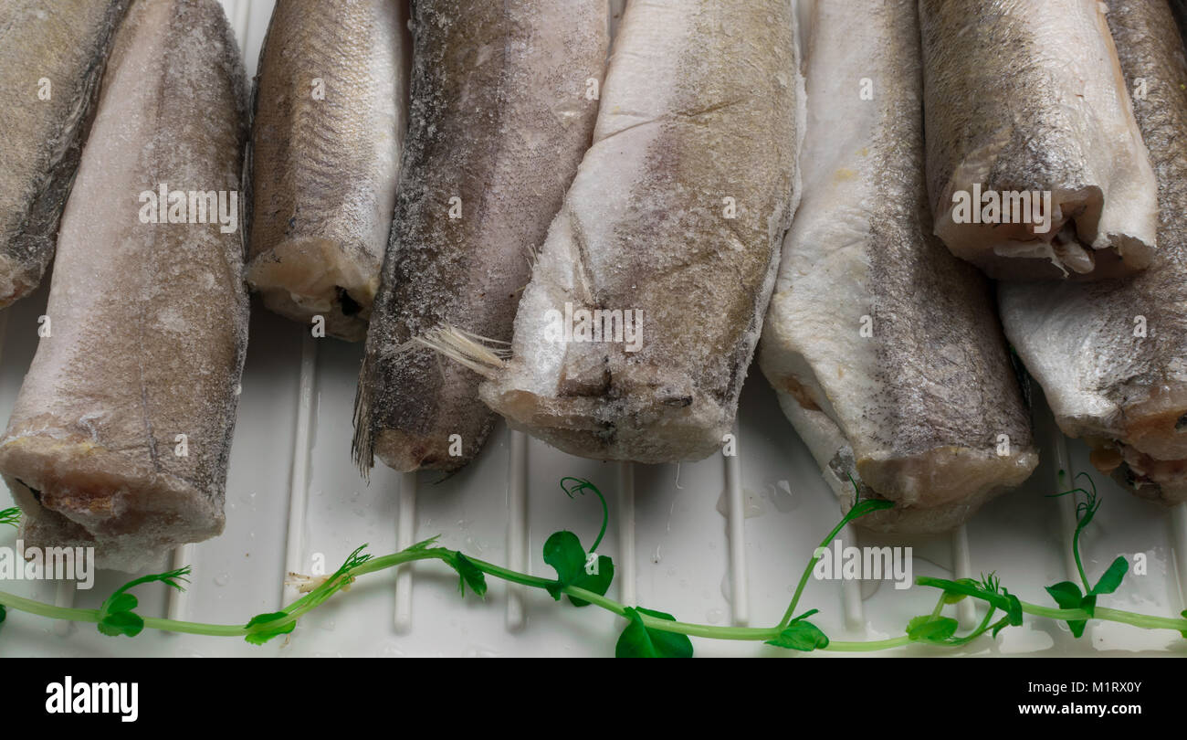 a lot of frozen fresh hake fish with greens Stock Photo - Alamy